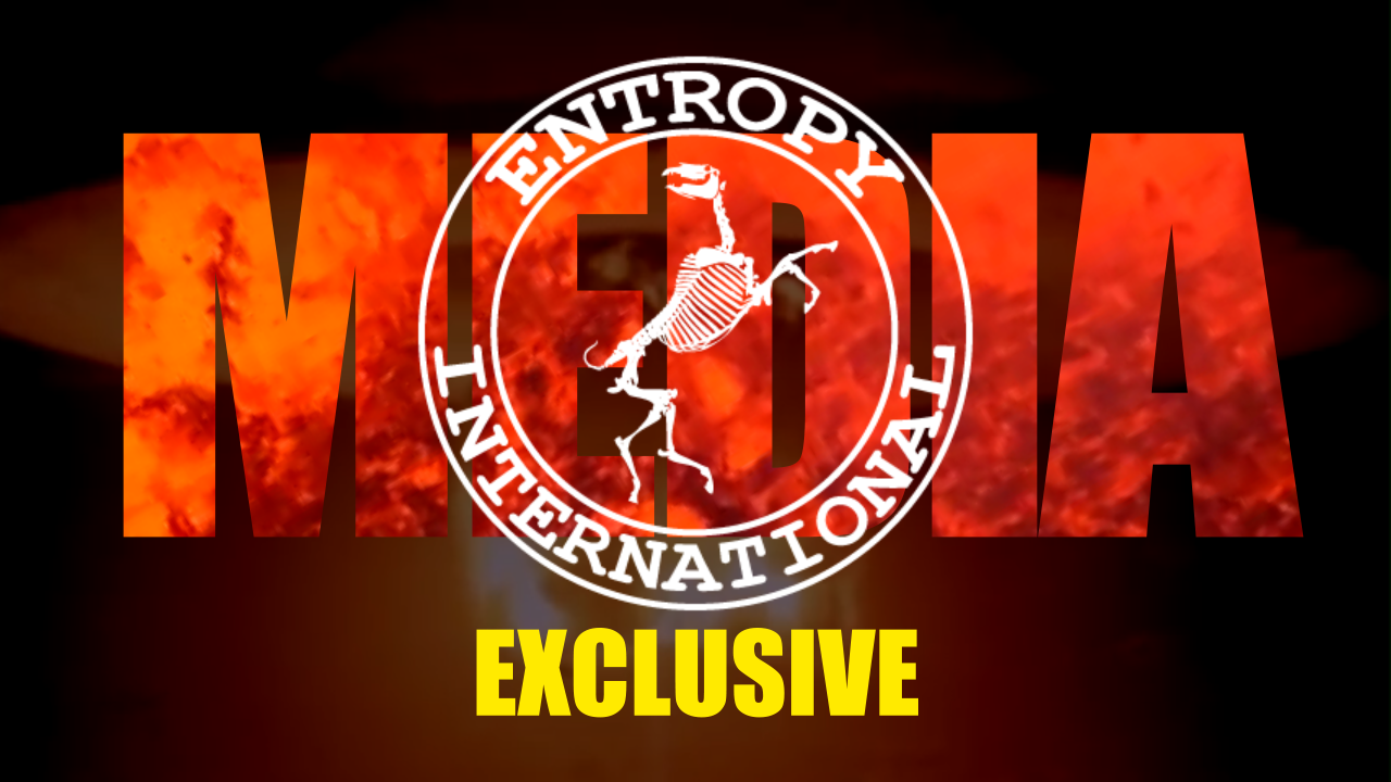 Activism | Entropy International